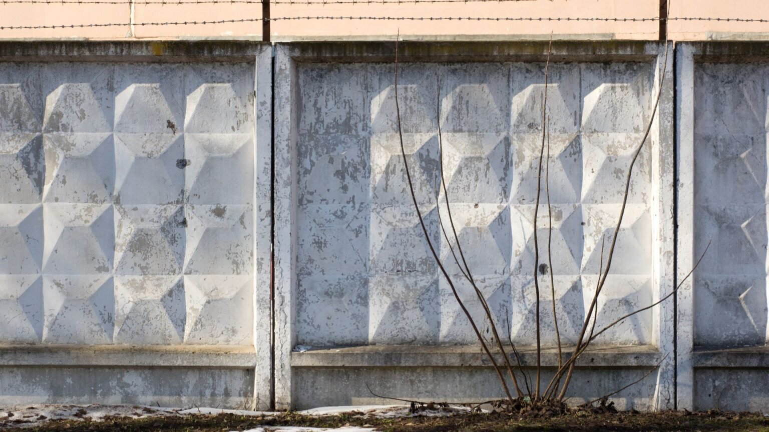 Ultimate Guide To What Colour To Paint Concrete Fence Posts